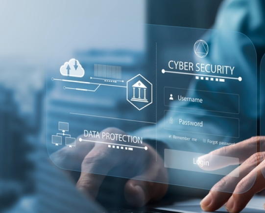 Security & Governance- Onix