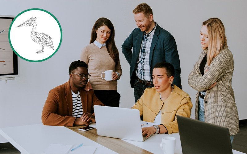 Pelican: A Smarter Way to Validate Data - Onix