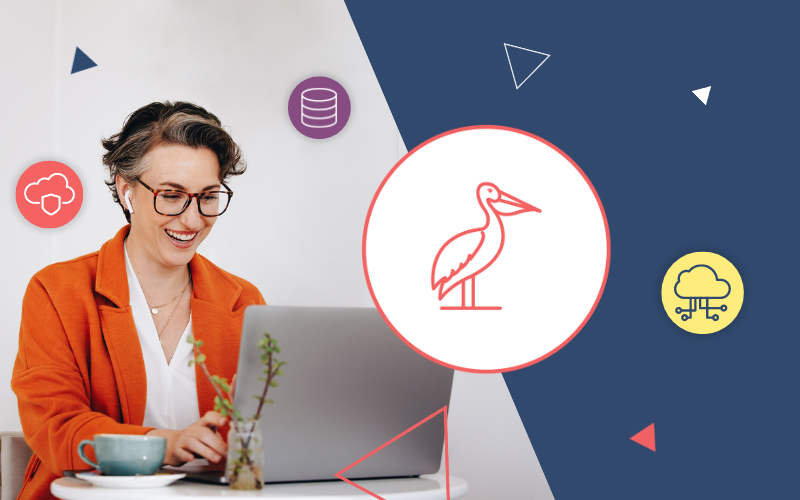 Automating Data Validation with Pelican’s Zero Factor Features - Onix Automating Data Validation with Pelican’s Zero Factor Features - Onix