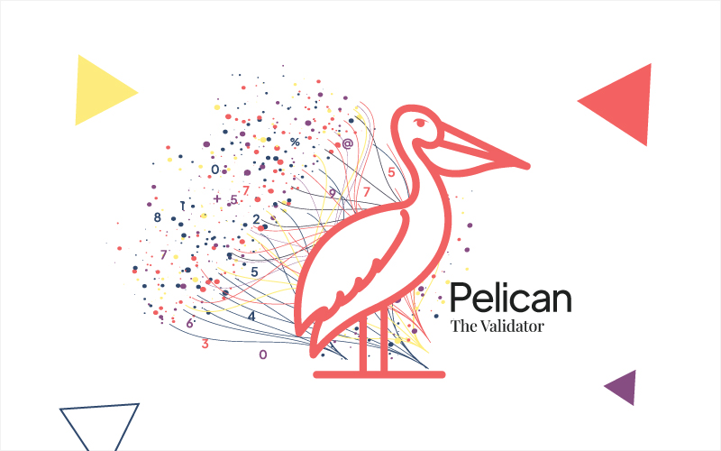 Pelican Data Validation Tool - Automated Data Validation and Migration Planning - Onix